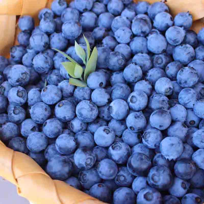 Chinese blueberry market welcomes new players