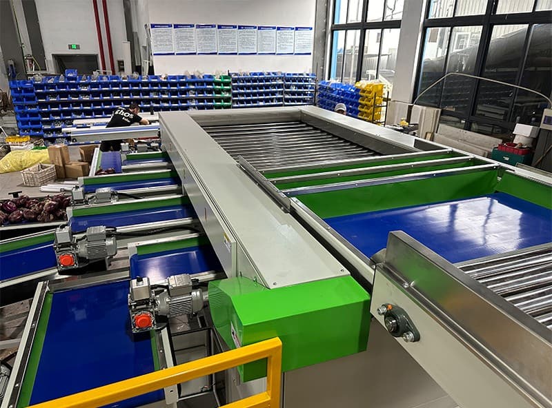 Türkiye's First Onion Grader has been loaded