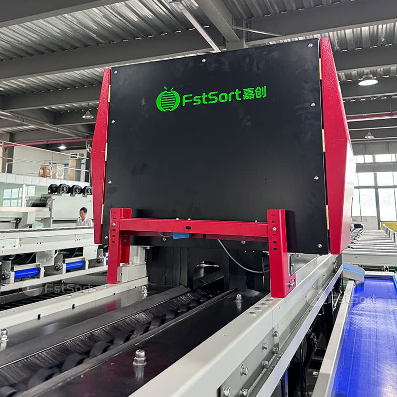 How to quickly detect the maturity and quality grade of tomatoes