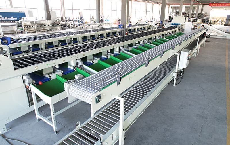 Fstsort potato processing line helps efficient production