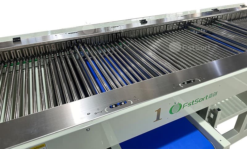 Adjustable Date Grading Machine