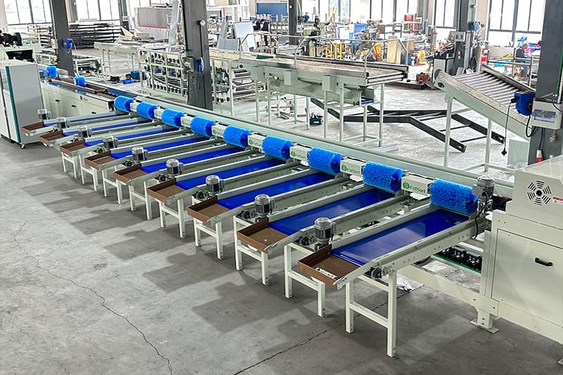 Brazil’s Mango Season Peaks, Driving Demand for Upgraded Sorting Technology