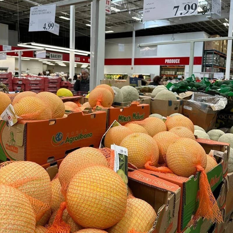 Honduran fresh melons have officially entered China | FstSort