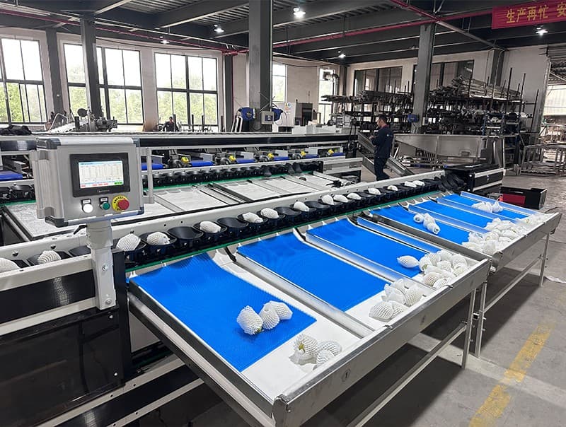 How to Gently Sorting Pears