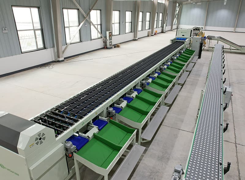 Fstsort Tomato Optical Sorter Line