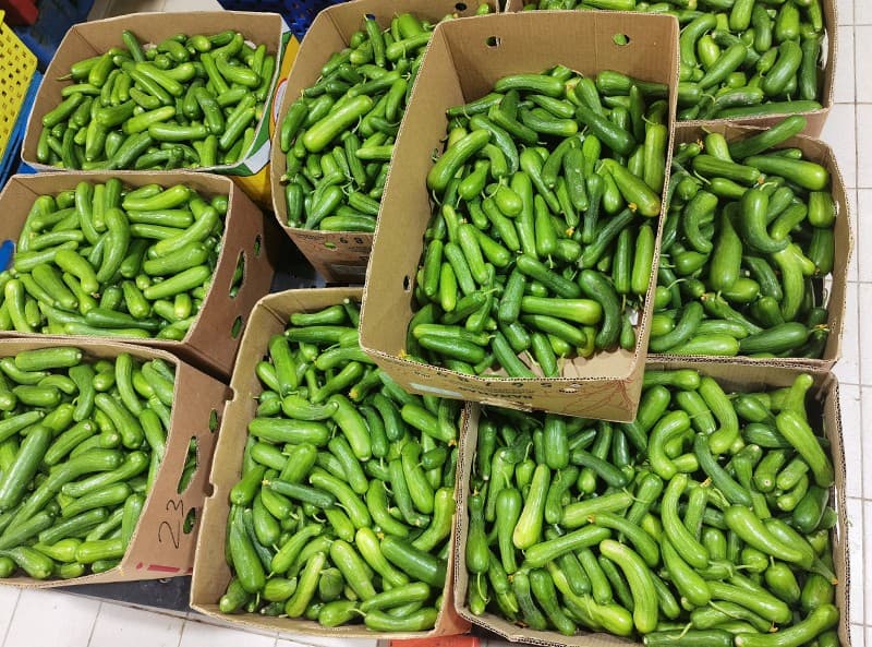 Mini cucumbers grading machine