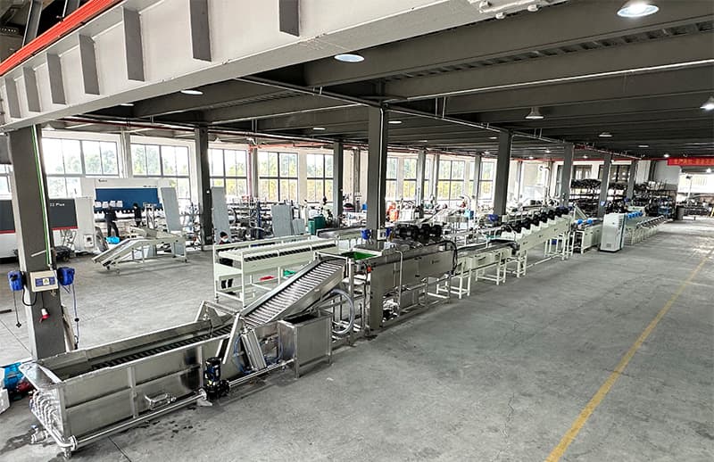 How to efficiently sort and pack mangoes during the mango season