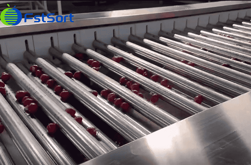 Cherry Radish Sorting Machine