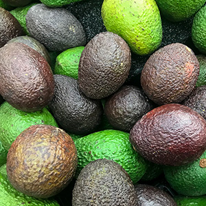 Avocado Quality Control: Avocado Optical Sorting Grading... | FstSort