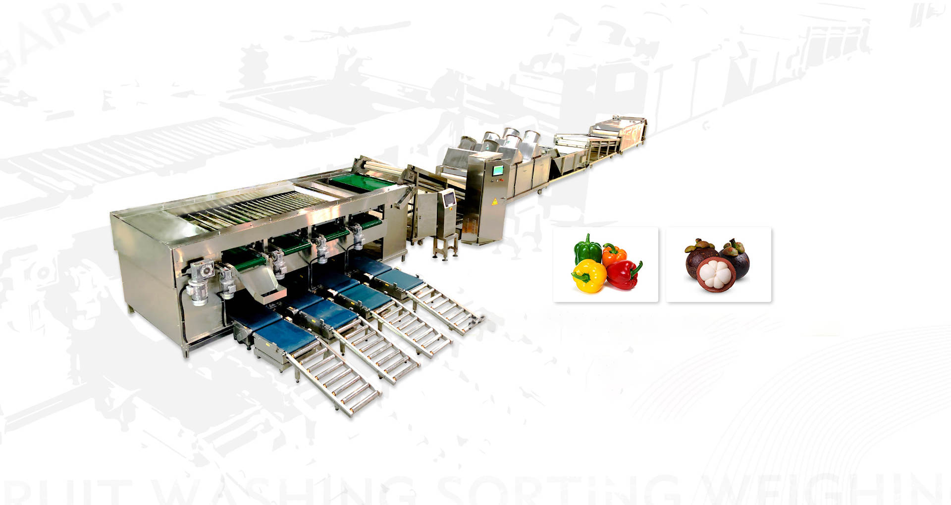 Fruit processing machine, vegetable sorter manufacturer